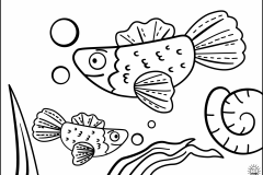 Fish Coloring Pages and Fish Paper Craft for Kids | Amax Kids