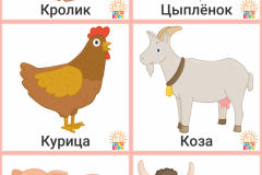Printable Flashcards for Kids – Farm Animals | Amax Kids