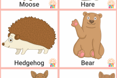 Printable Flashcards for Kids – Forest Animals | Amax Kids