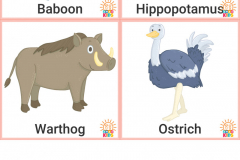 Printable Flashcards for Kids – African Savanna Animals | Amax Kids