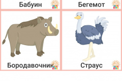 Printable Flashcards for Kids – African Savanna Animals | Amax Kids