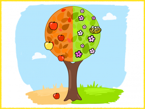 Four Seasons Tree Craft for Kids | Amax Kids